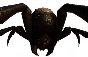 蜘蛛の女王ウンゴーラ - NPC - V Rising Database